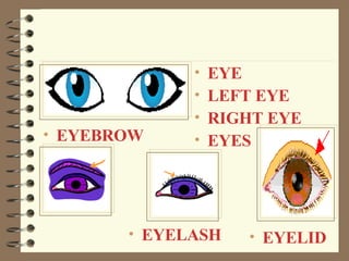 Parts of the Body | PPT