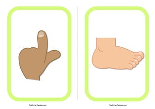 parts-of-the-body-flashcards.pdf