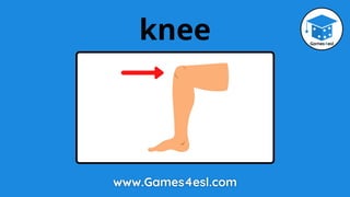 Parts-Of-The-Body-PPT kelas 5 bahasa inggris.pptx