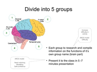 Parts Of The Brain | PPS