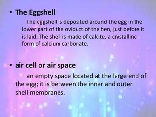 Parts of-the-egg | PPTX