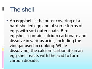 Parts of-the-egg (1) | PPTX