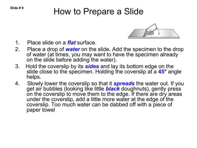 parts-of-the-microscope-and-functions-ppt-1.ppt