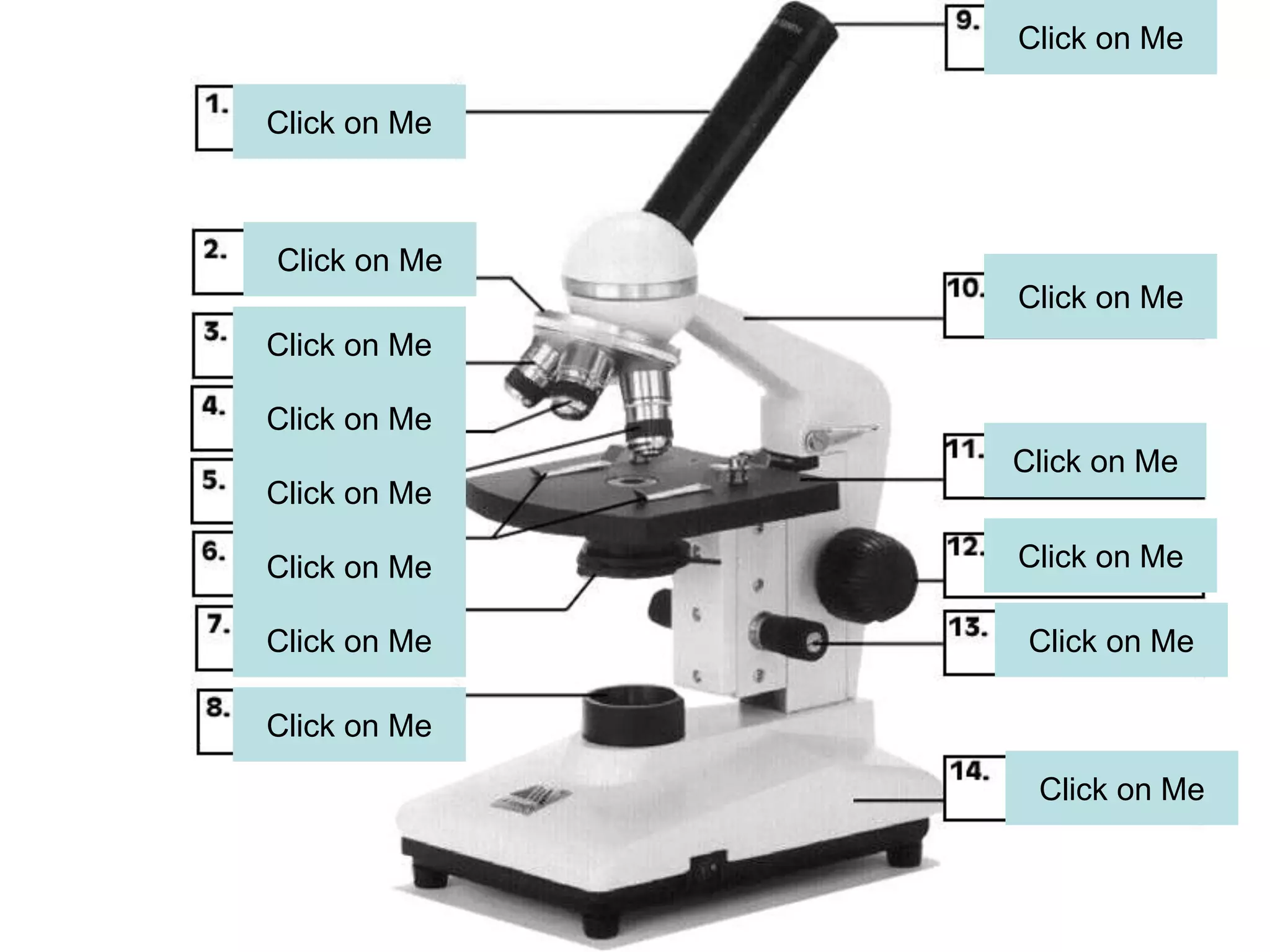 parts-of-the-microscope-and-functions-ppt-1.ppt