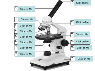 parts-of-the-microscope-and-functions-ppt-1.ppt