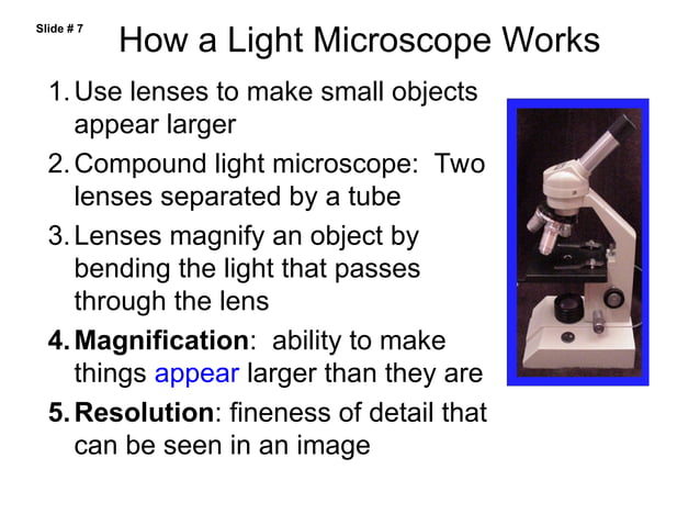 parts-of-the-microscope-and-functions-ppt-1.ppt