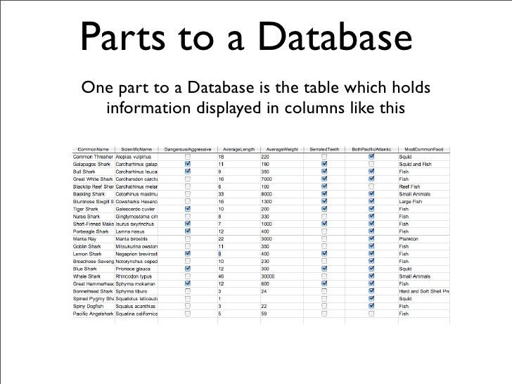 Parts To A Database 