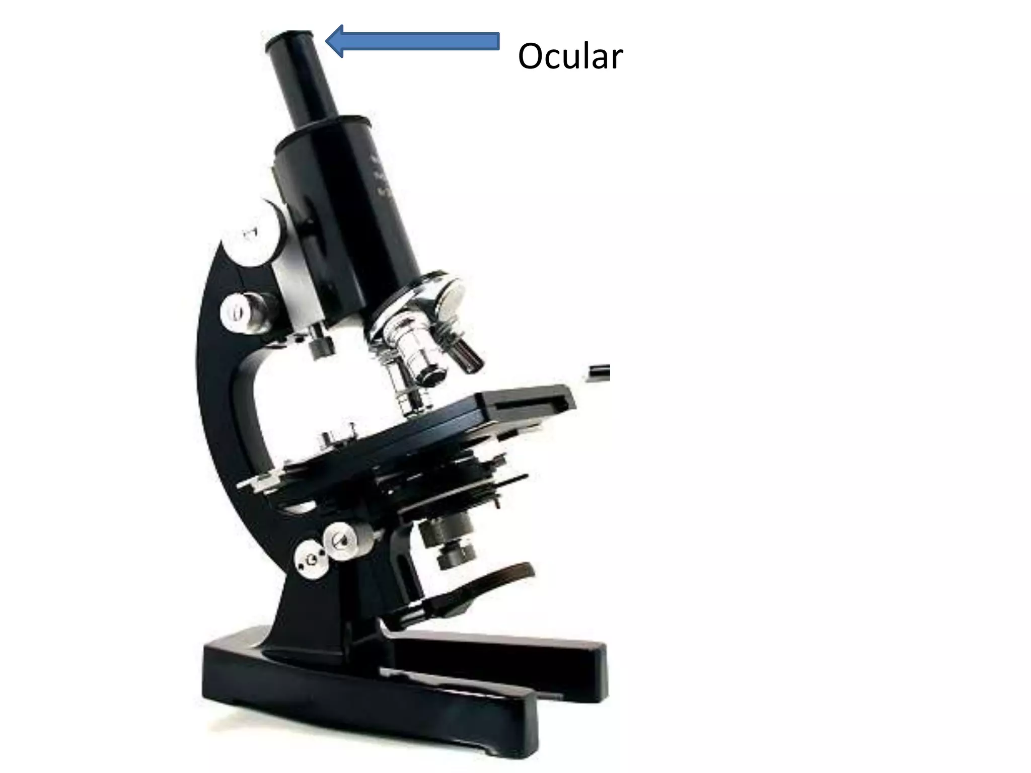 Parts and functions of a compound microscope | PPTX