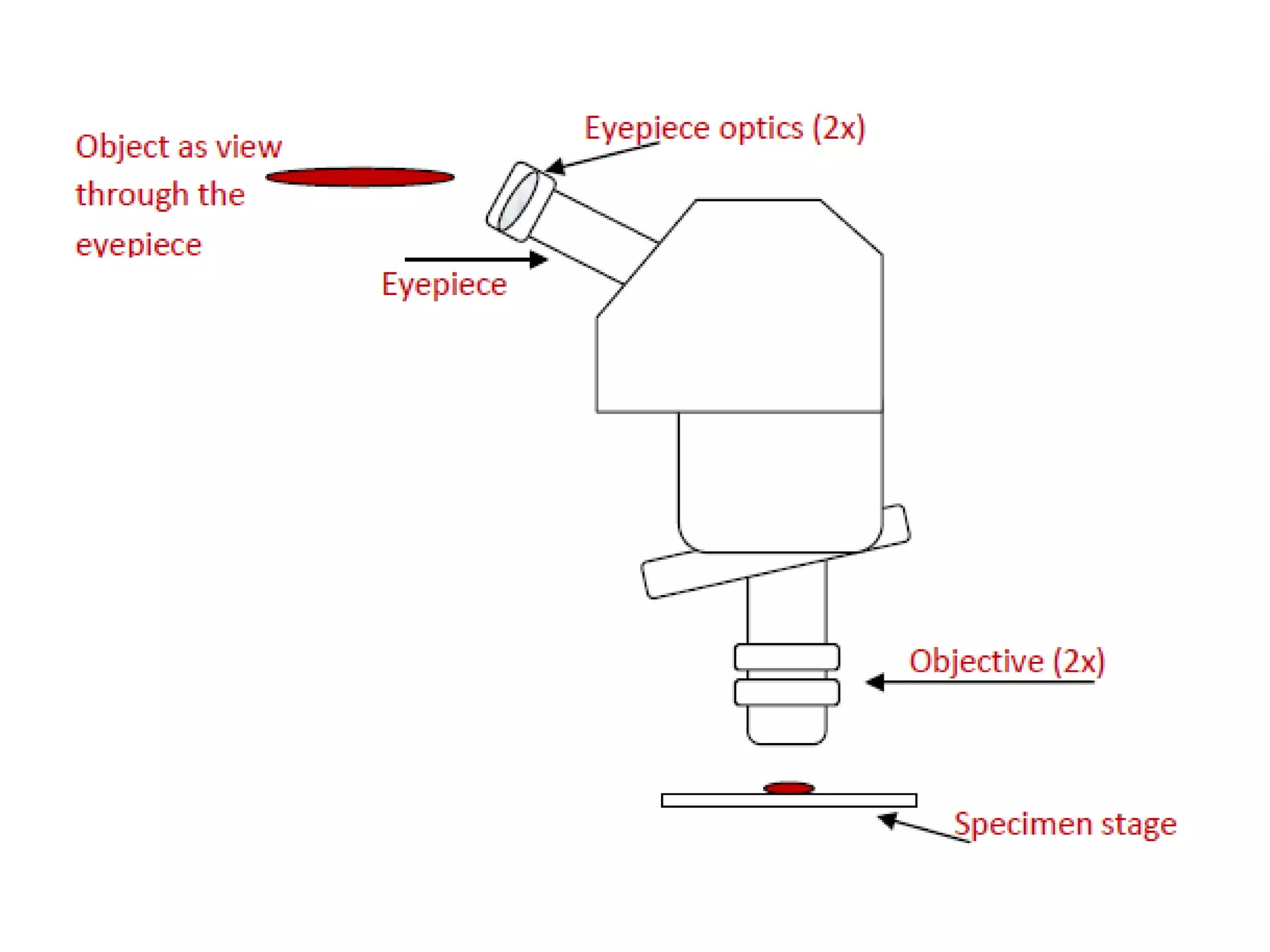 Parts and functions of a compound microscope | PPTX