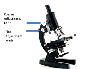 Condenser Adjustment Knob Microscope