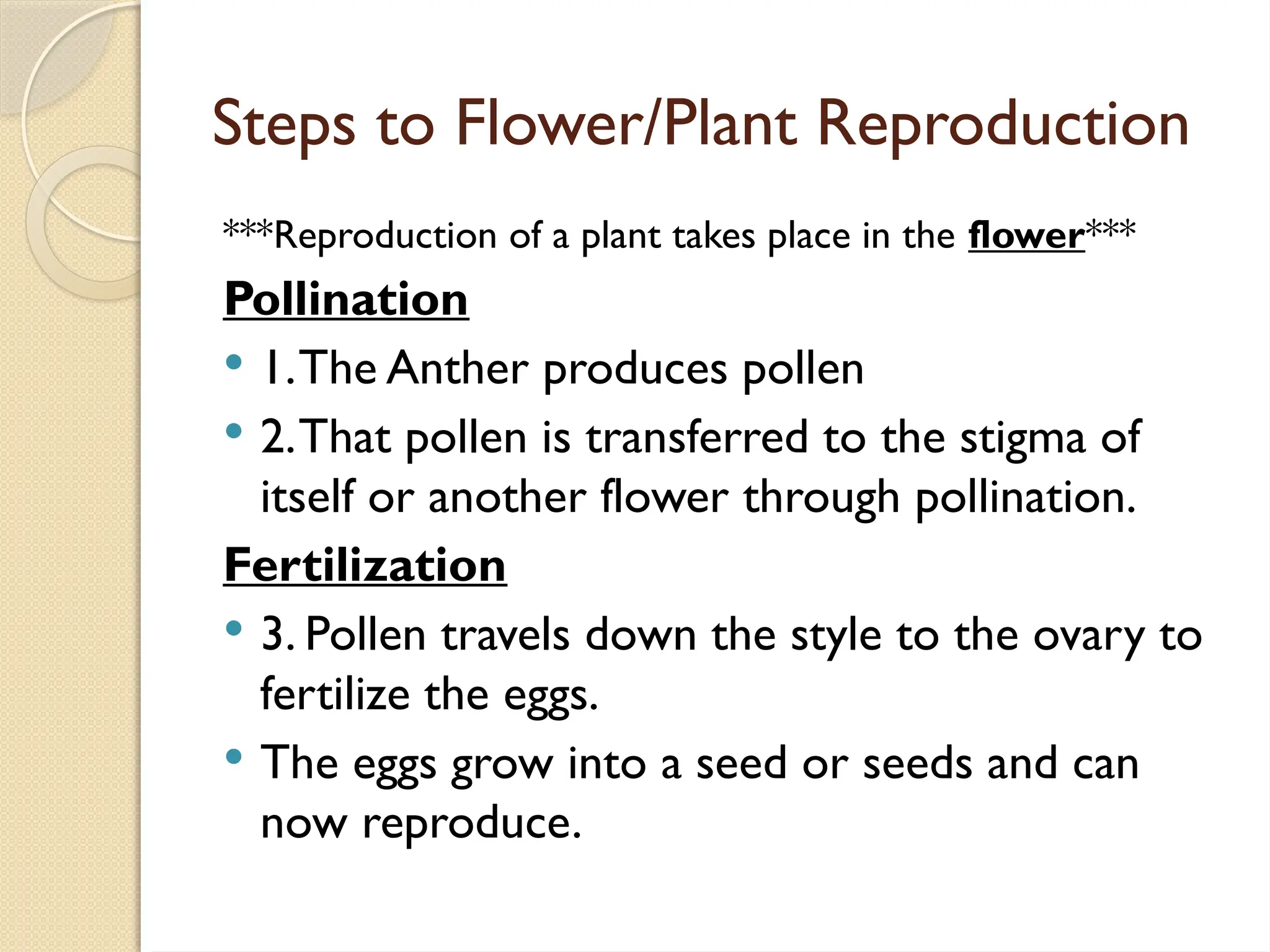 parts and functions of a flower (1).pptx