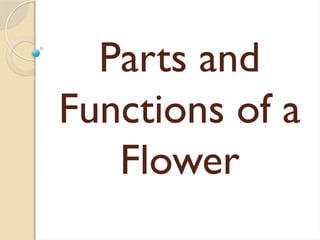 parts and functions of a flower (1).pptx