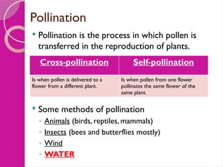 parts and functions of a flower (1).pptx