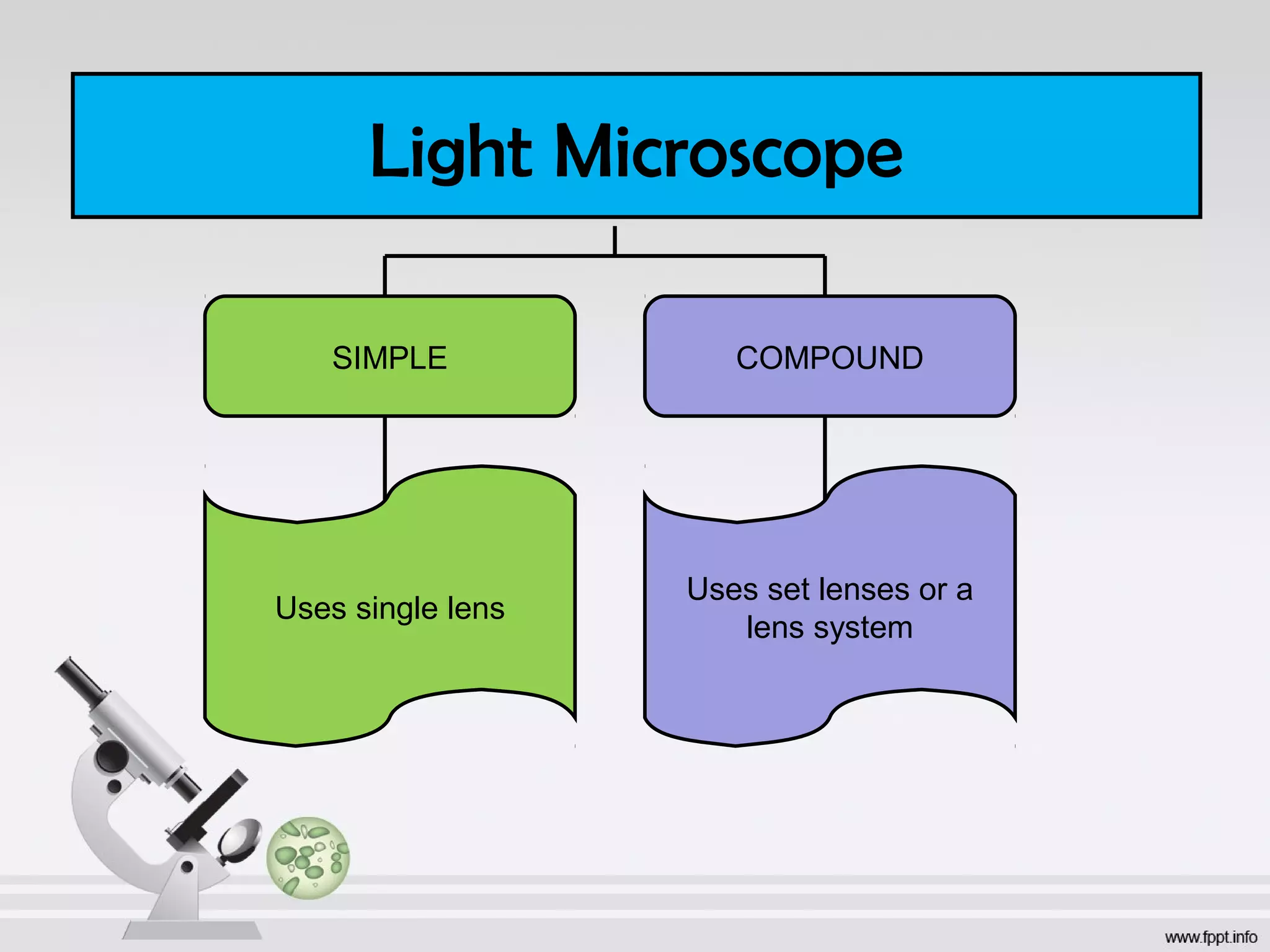 Parts and functions of a microscope | PPT