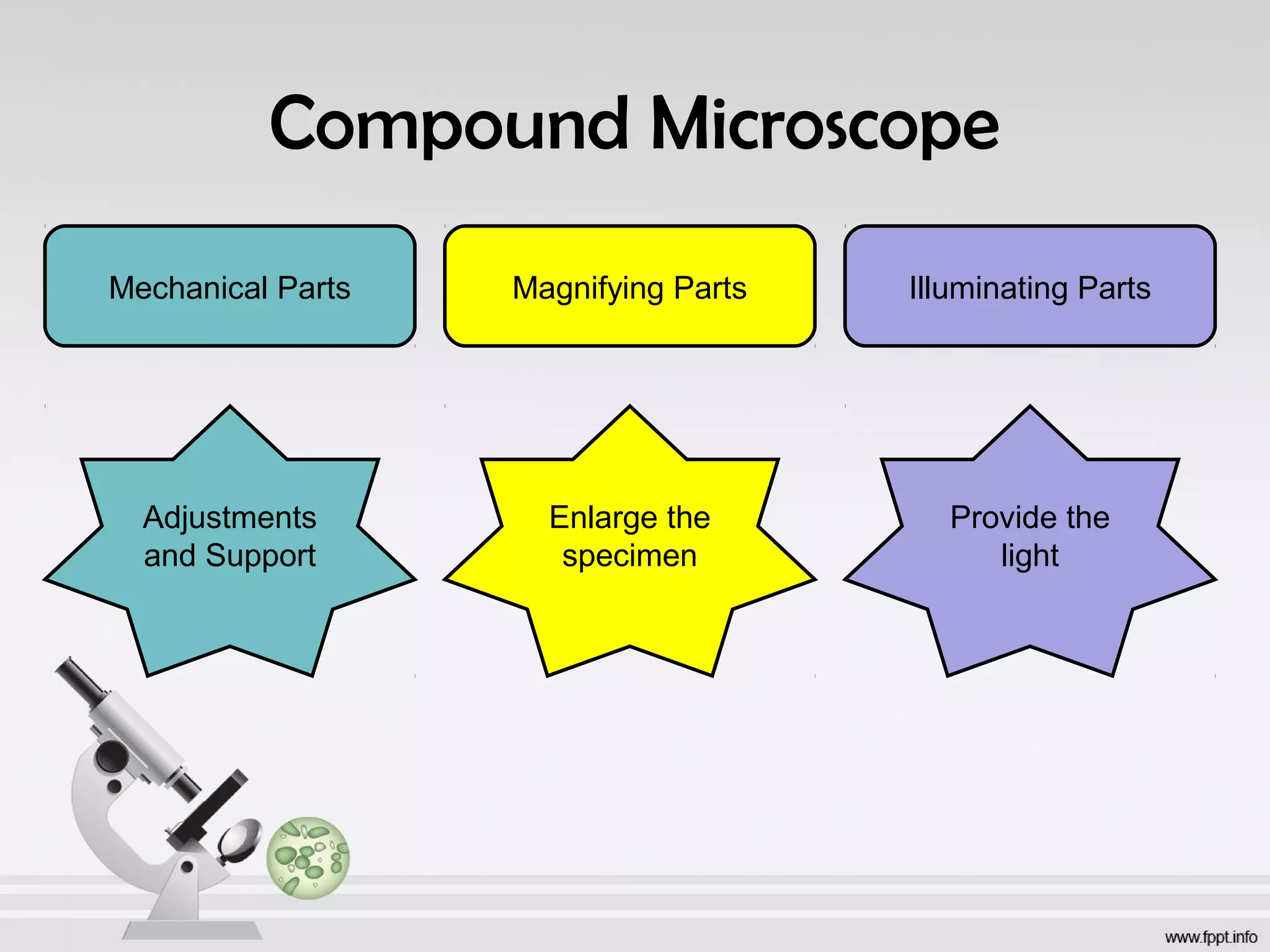 Parts and functions of a microscope | PPT