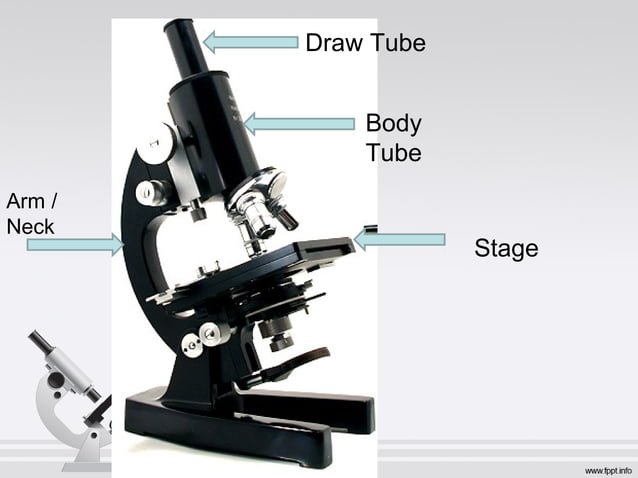 Parts and functions of a microscope | PPT