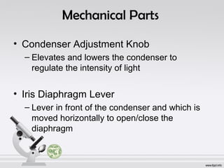 Parts and functions of a microscope | PPT