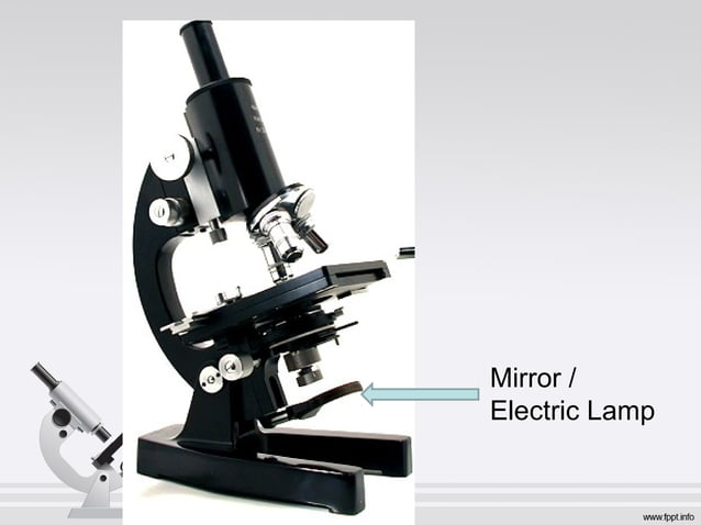 Parts and functions of a microscope | PPT