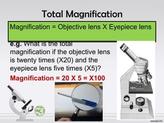 Parts and functions of a microscope | PPT