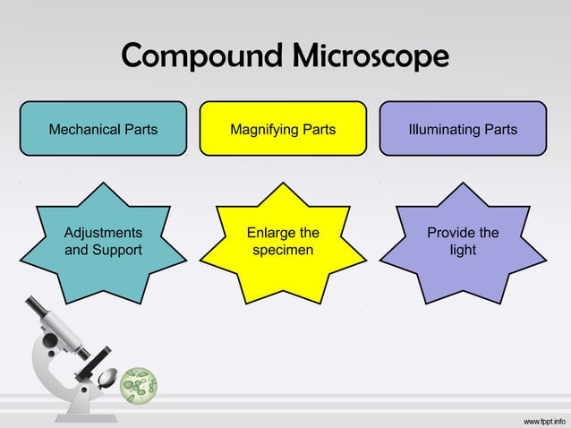 Parts and functions of a microscope | PPT