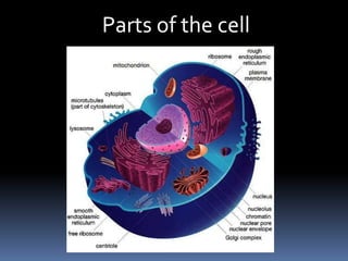 A and P Mod. #1 Parts of a cell | PPT