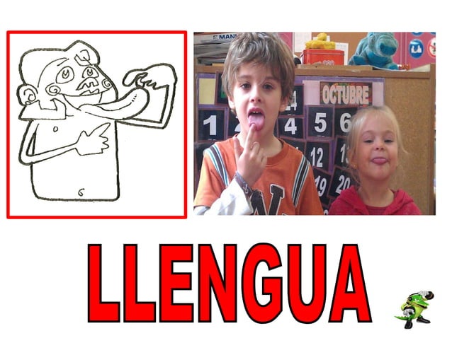 PARTS DEL COS ( COCODRILS) | ODP