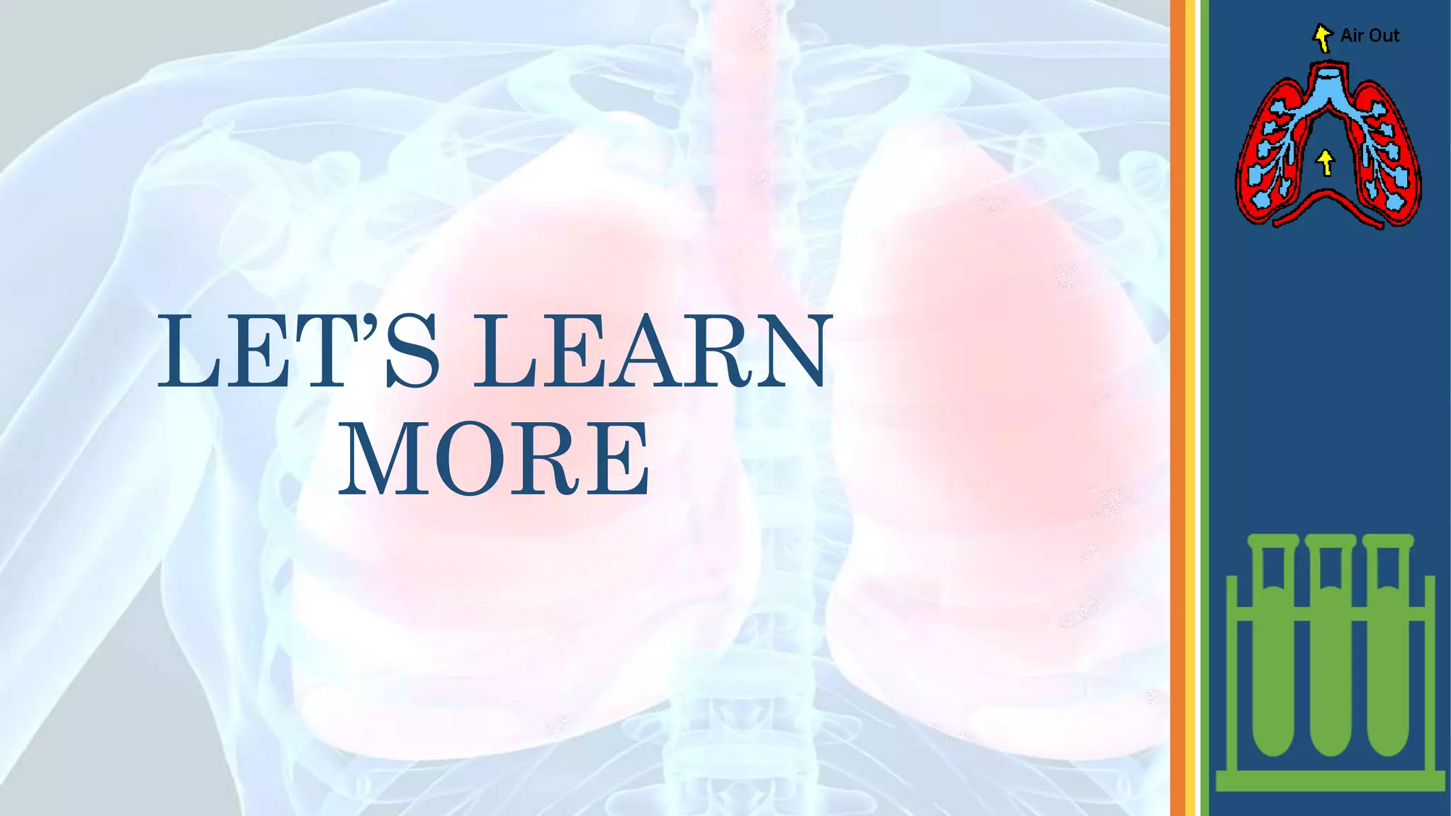 PARTS & FUNCTION OF RESPIRATORY SYSTEM.pptx