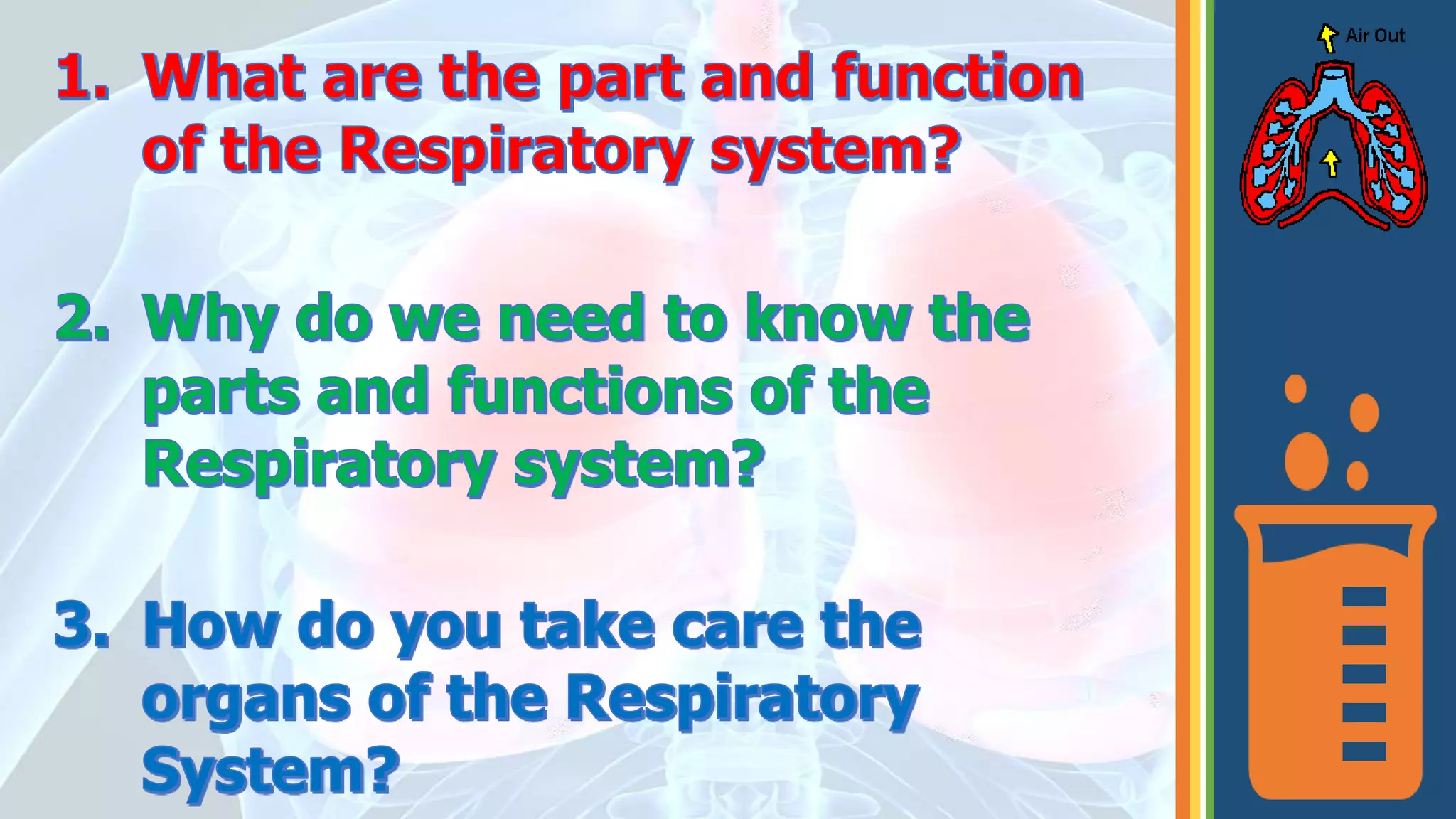 PARTS & FUNCTION OF RESPIRATORY SYSTEM.pptx