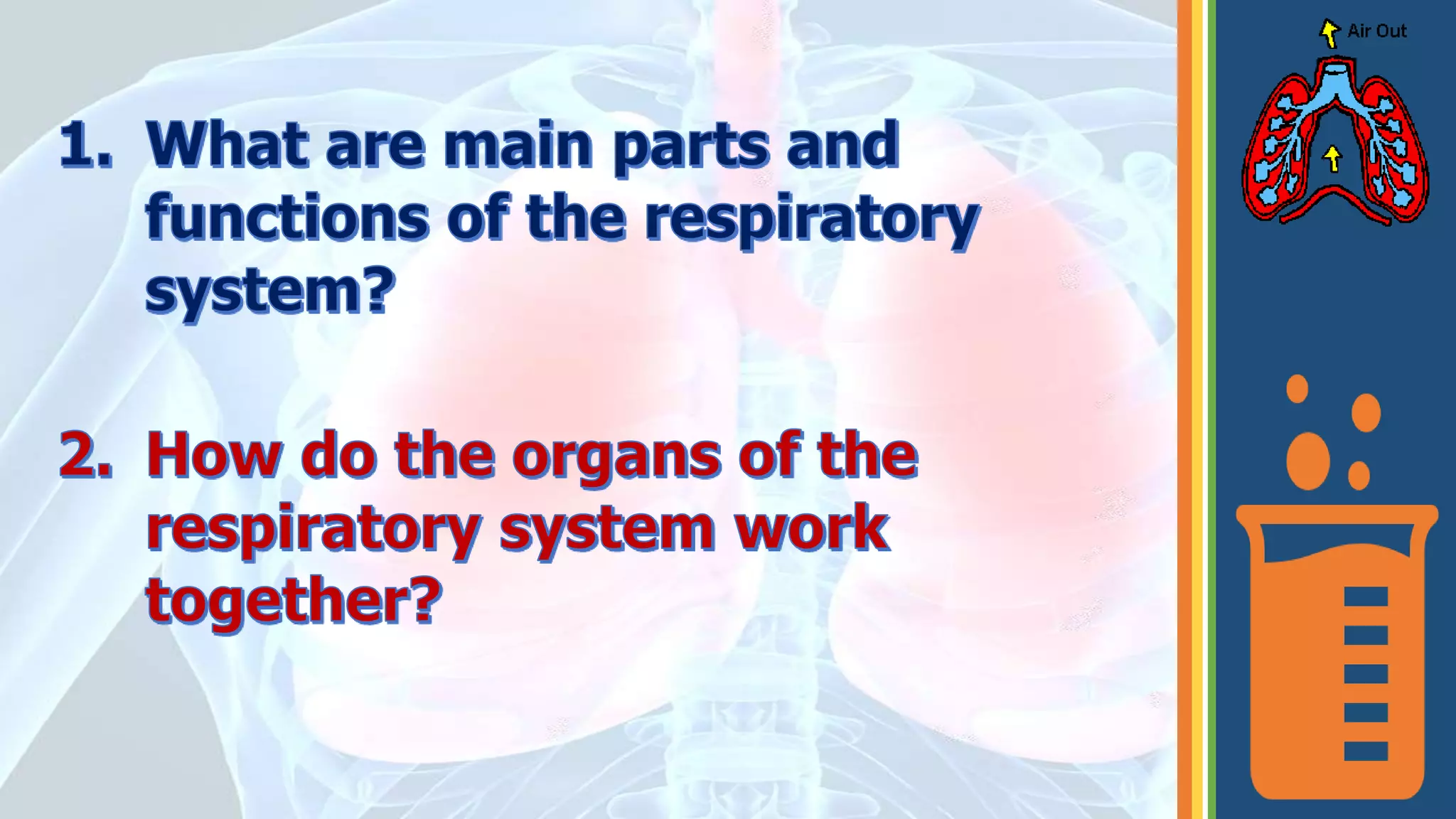 PARTS & FUNCTION OF RESPIRATORY SYSTEM.pptx