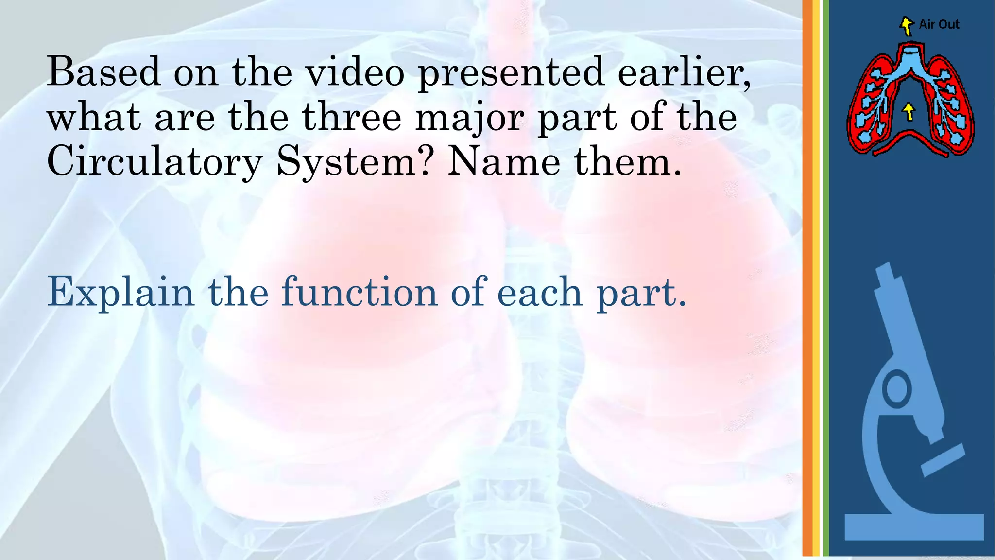 PARTS & FUNCTION OF RESPIRATORY SYSTEM.pptx