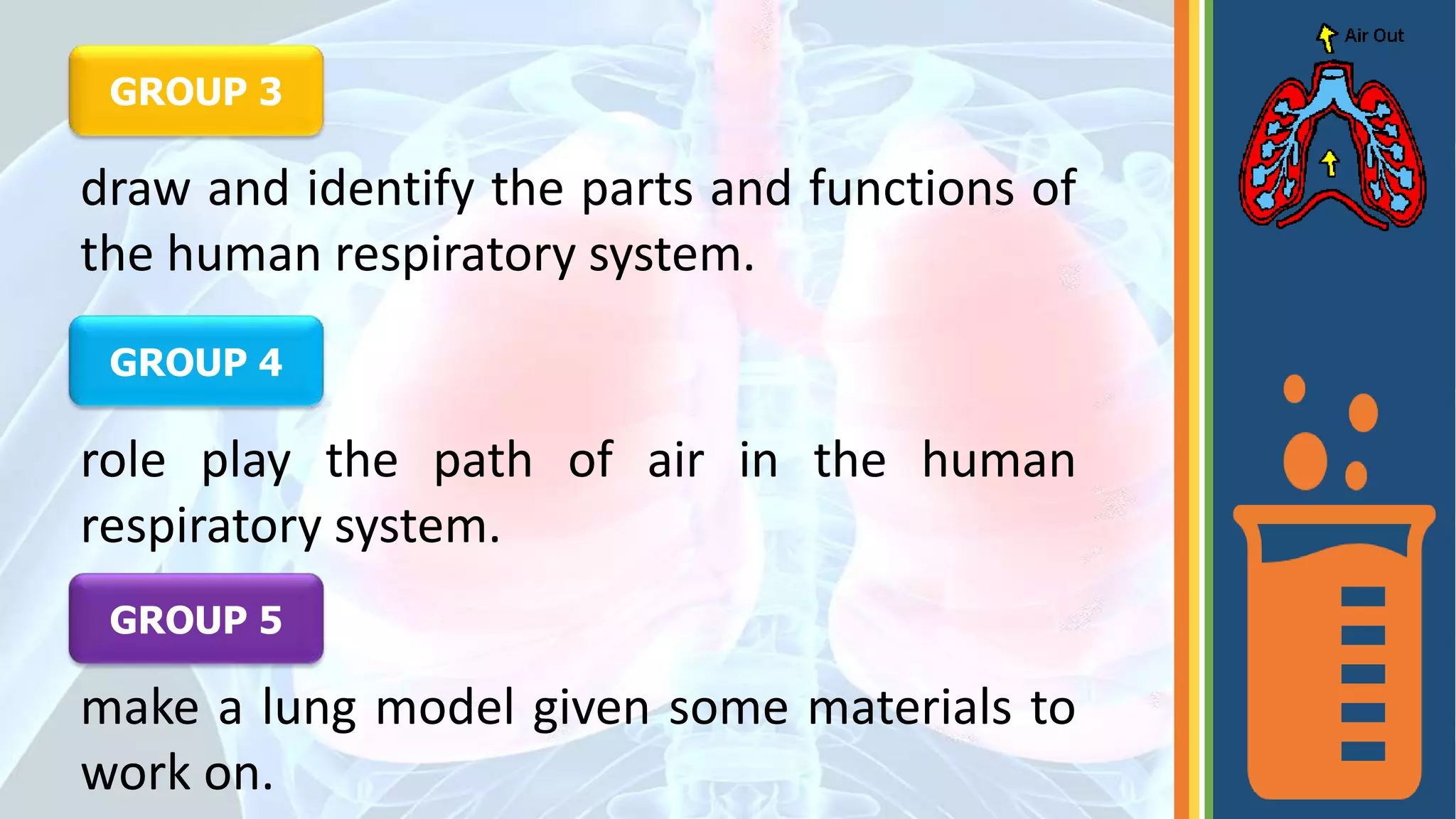 PARTS & FUNCTION OF RESPIRATORY SYSTEM.pptx
