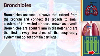 PARTS & FUNCTION OF RESPIRATORY SYSTEM.pptx