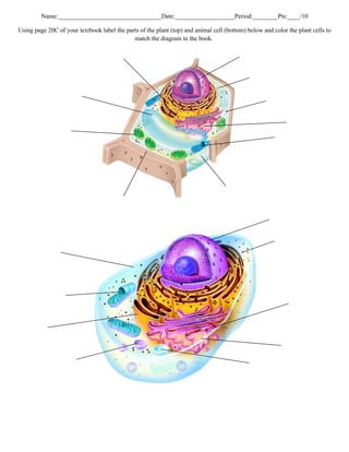 Label Parts Of A Cell