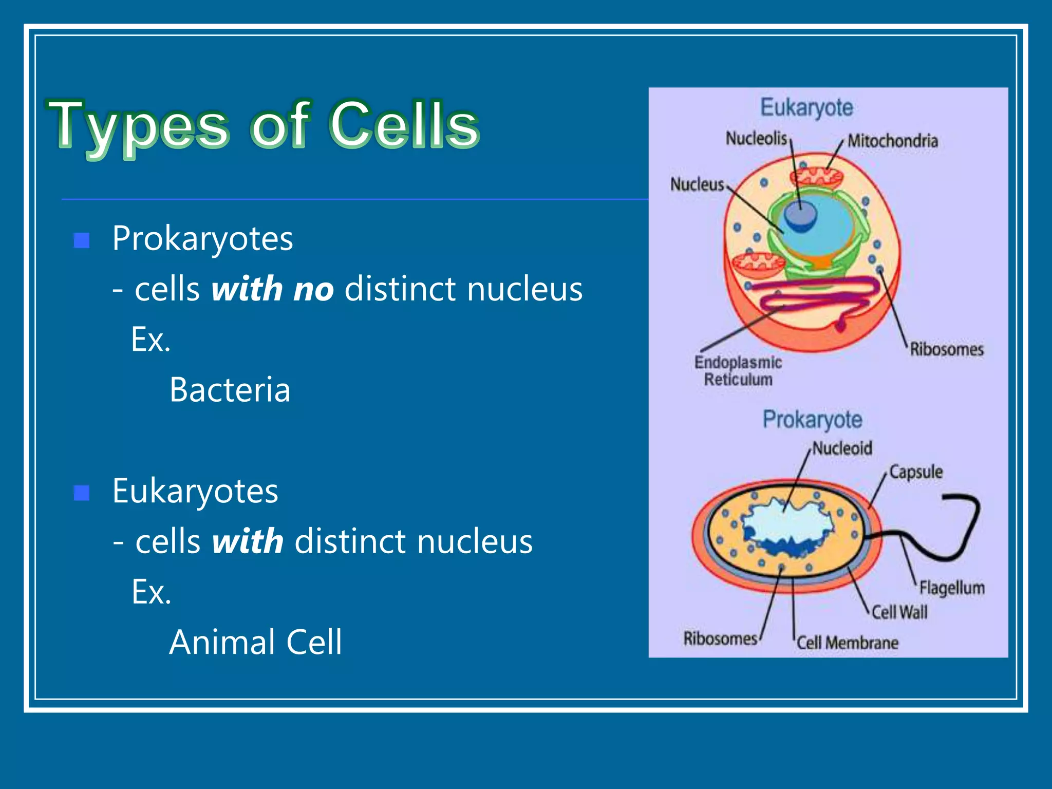 Parts of a Cell | PPTX