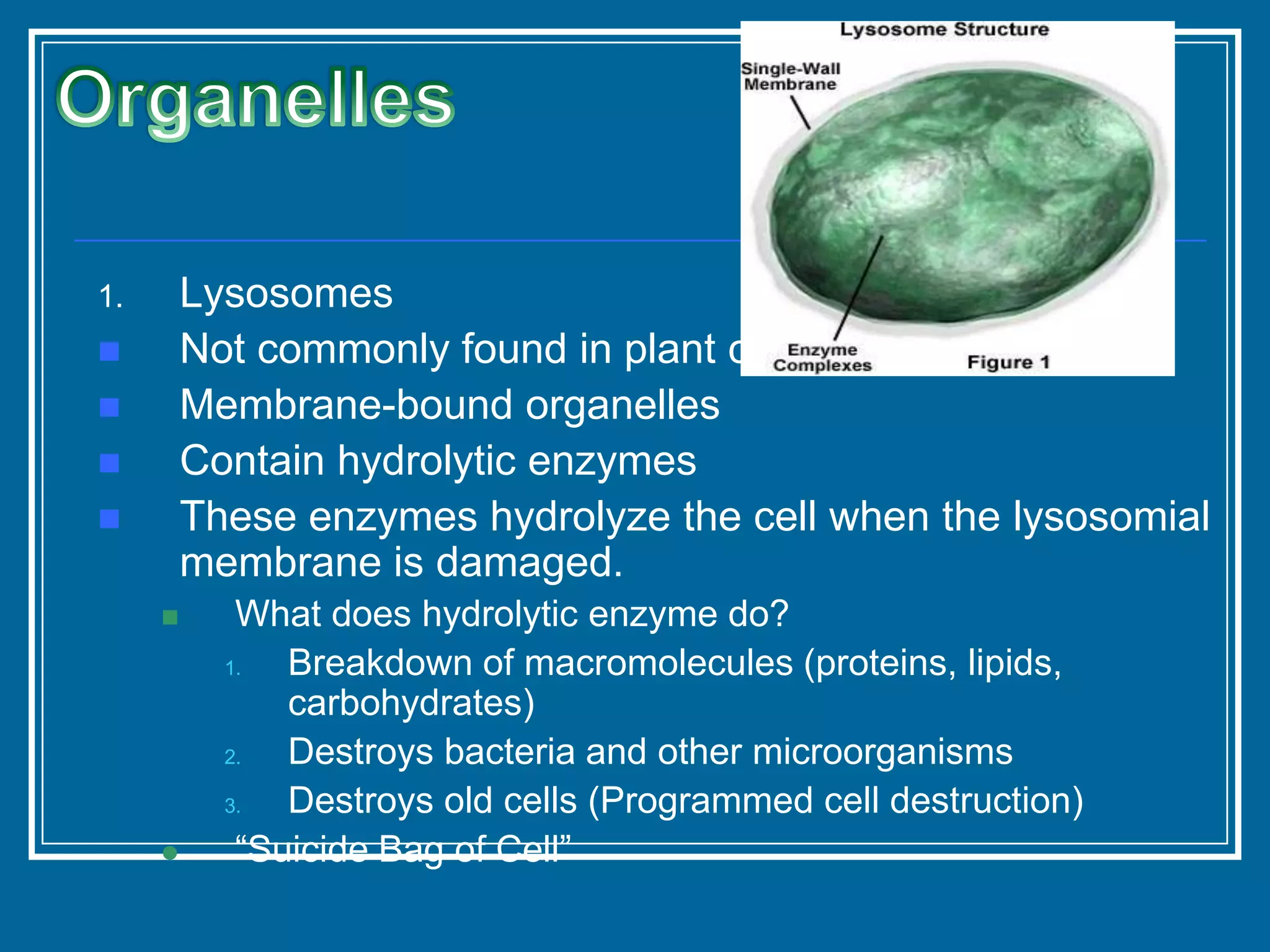 Parts of a Cell | PPTX