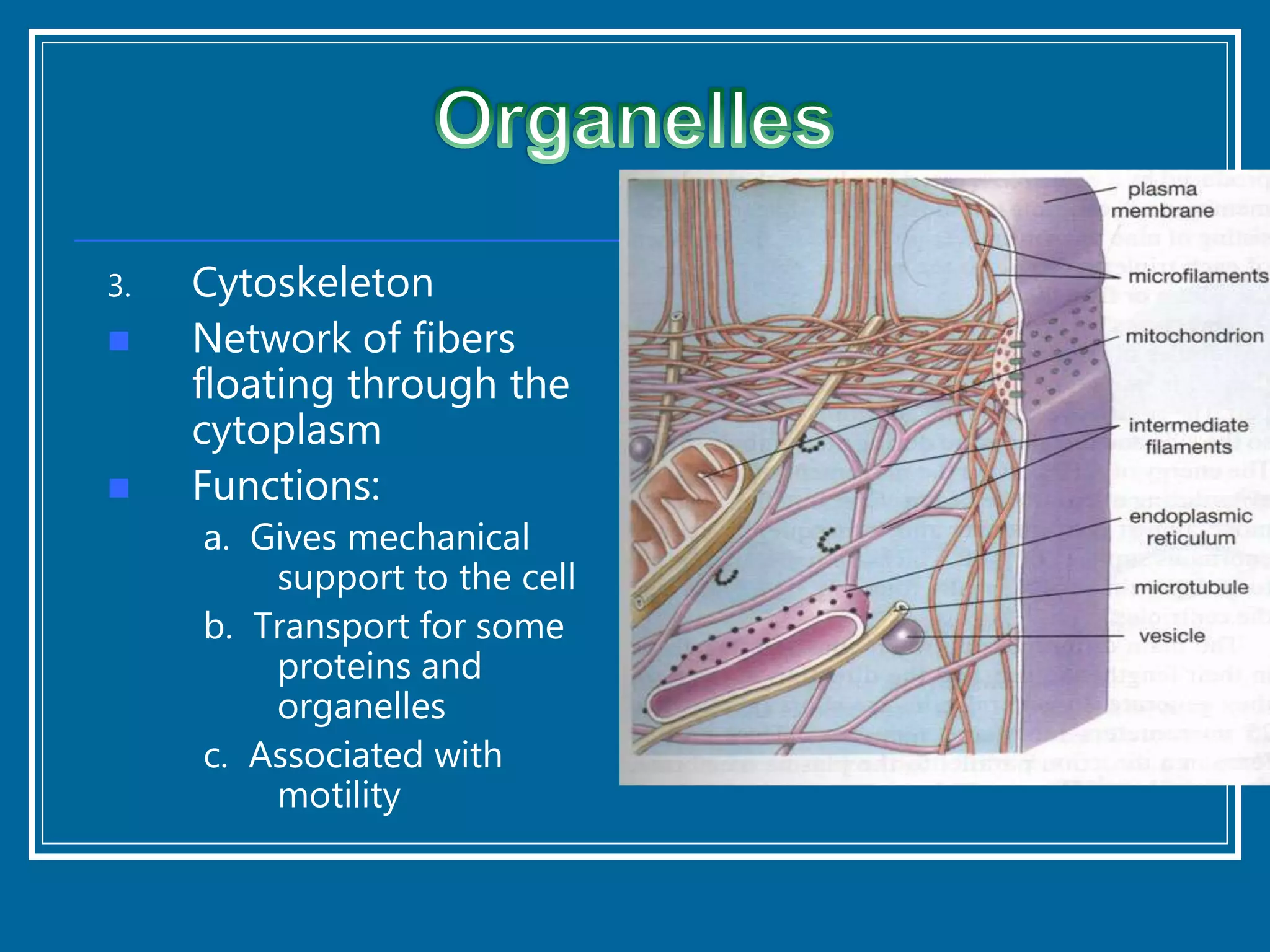 Parts of a Cell | PPTX