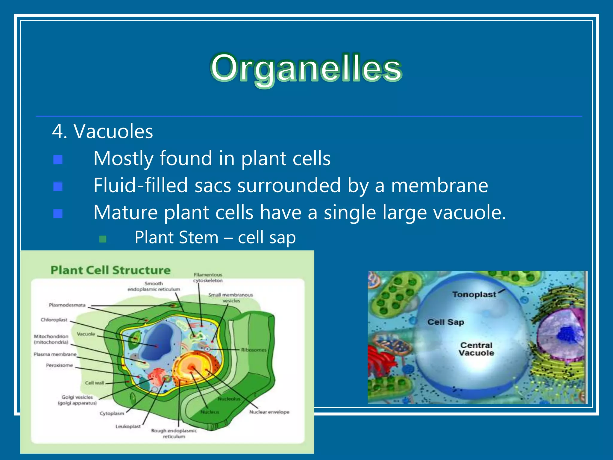 Parts of a Cell | PPTX