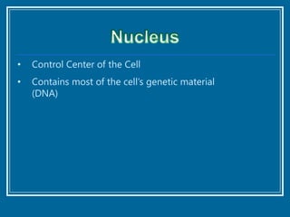 Parts of a Cell | PPTX