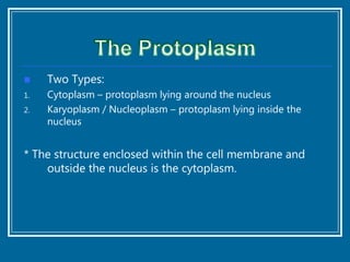 Parts of a Cell | PPTX