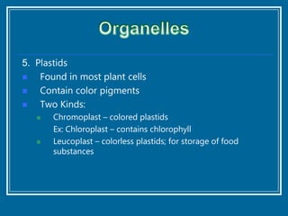 Parts of a Cell | PPTX