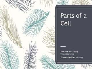 Parts Of A Cell | PPT