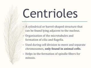 Parts Of A Cell | PPT