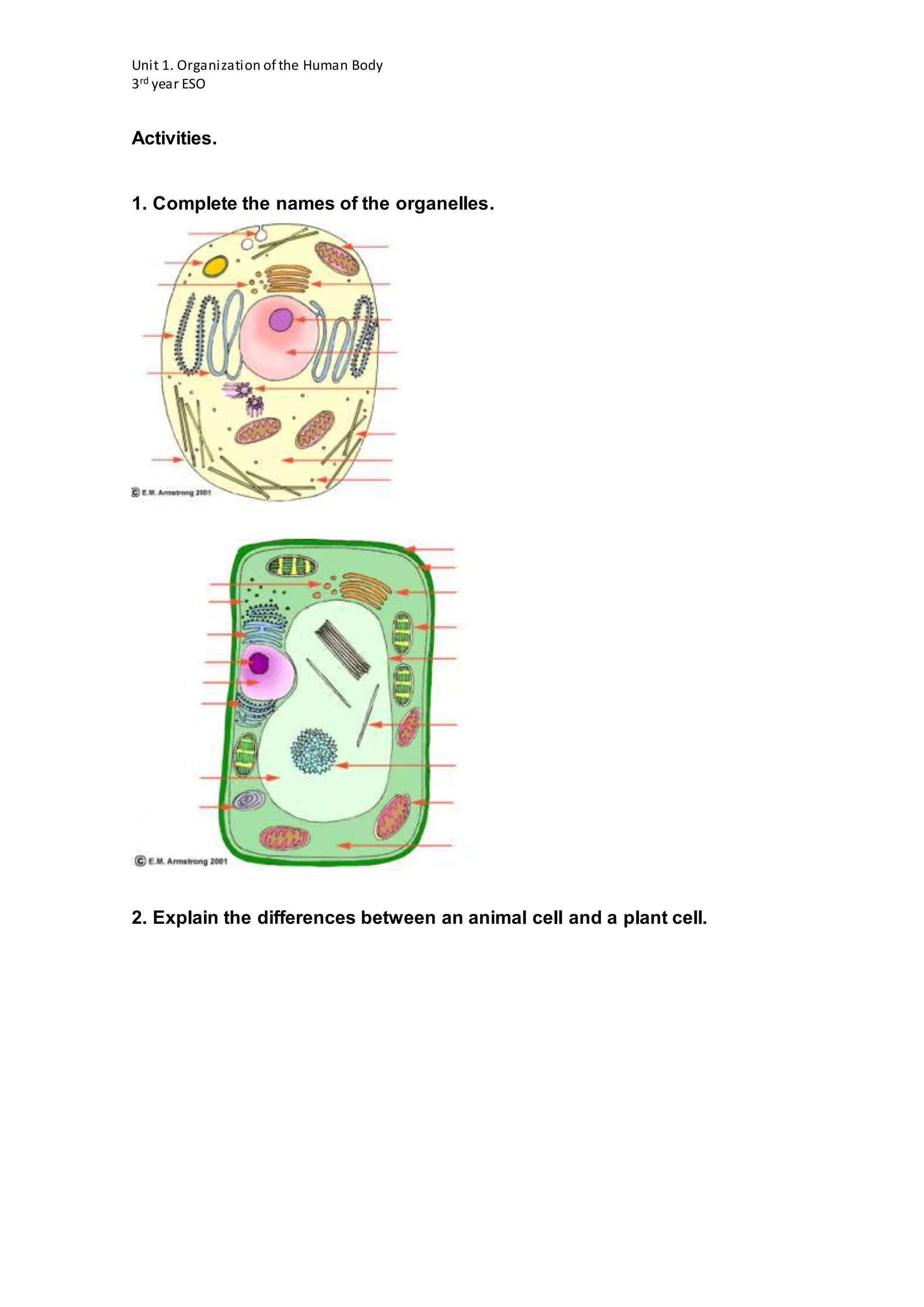 Parts of a cell. definitions and activities | DOC