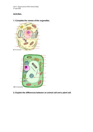 Parts of a cell. definitions and activities | PDF