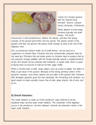 Parts of a chicken digestive tract | DOCX