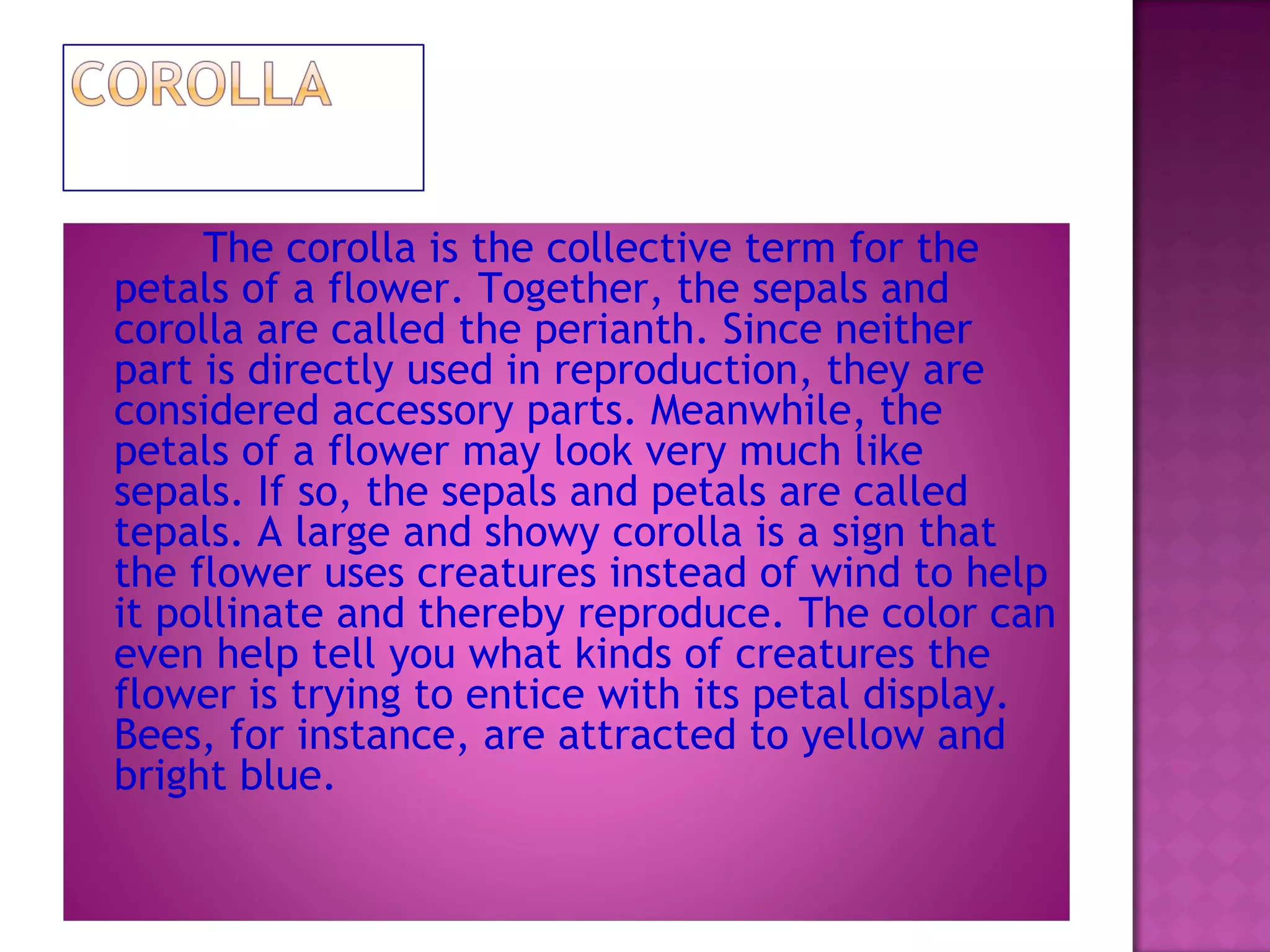 Parts of a complete flower | PPT