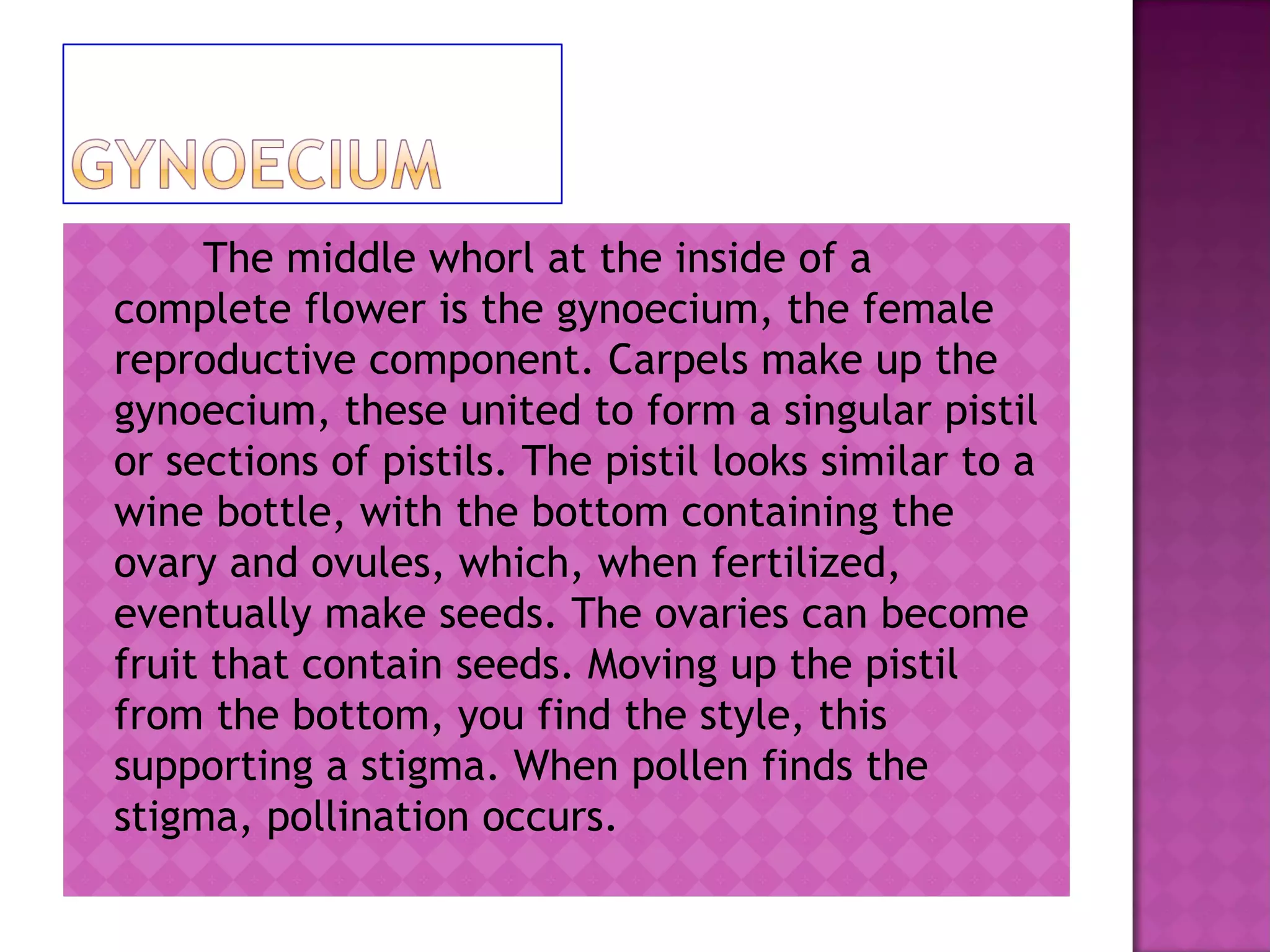 Parts of a complete flower | PPT