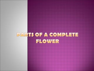 Parts of a complete flower | PPT