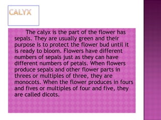 Parts of a complete flower | PPT
