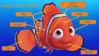 Parts of a fish | PPTX